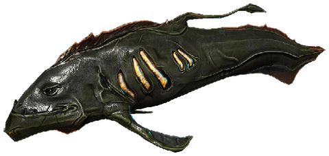 Charc Eel - Pedidos de Compra e Venda | Warframe Market