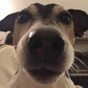 Profile - Shaydan- | Orders