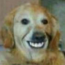 Flailing Branch - Buy and Sell orders | Warframe Market