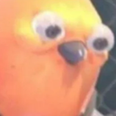 Profile - NexorX | Orders