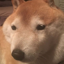 Profile - The_Aeon | Orders