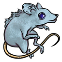 Profile - Erenna | Orders