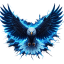 Profile - Storm-Eagle | Orders