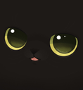 Profile - MoJoke | Contracts