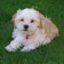 Profile - Eyesack_ | Orders