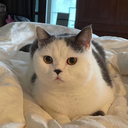 Profile - Easion. | Orders