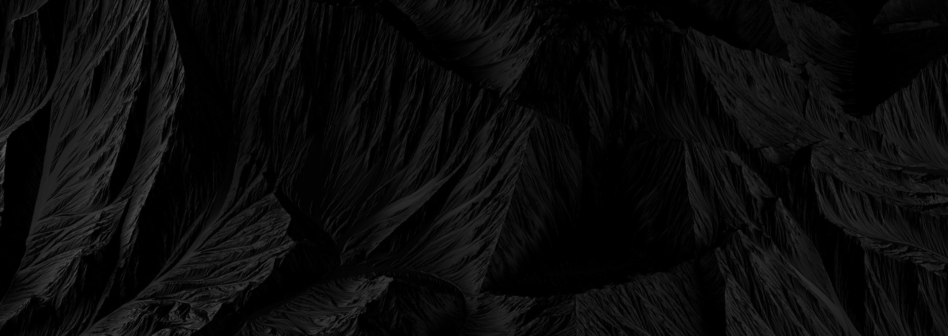 Profile - EntireSpite | Orders